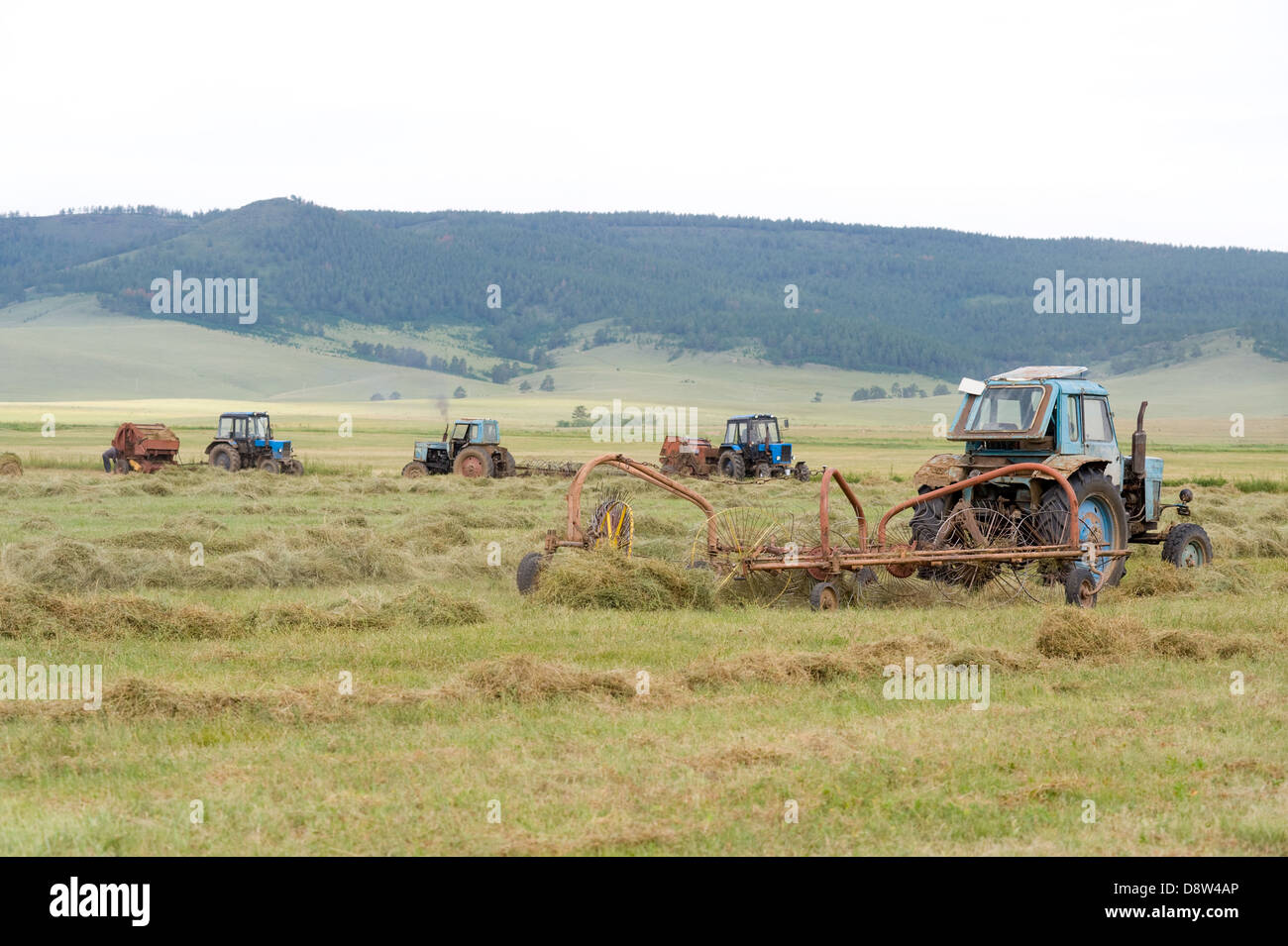 Hay supply hi-res stock photography and images - Alamy