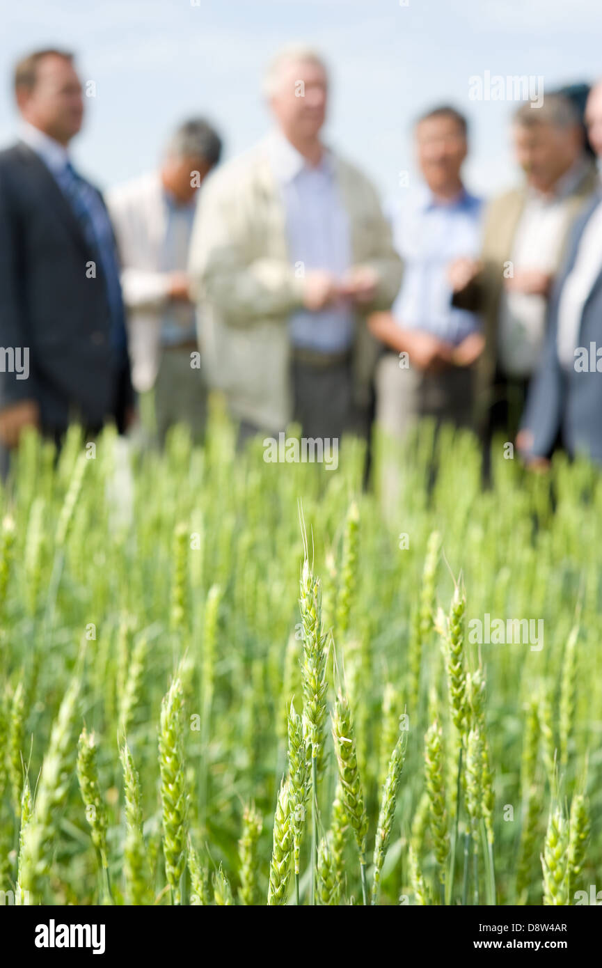 Yield farming hi-res stock photography and images - Alamy
