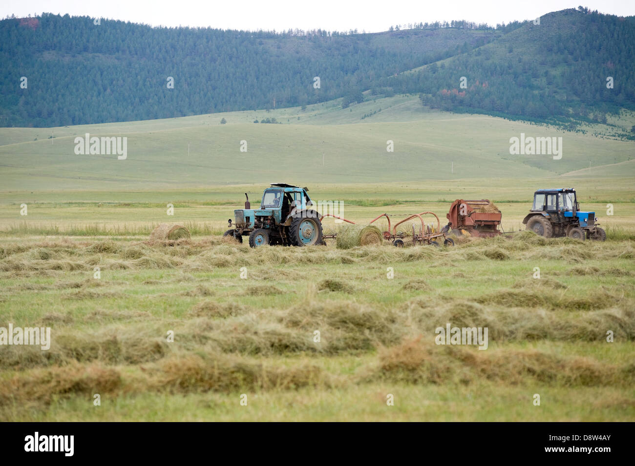 Hay toss hi-res stock photography and images - Alamy