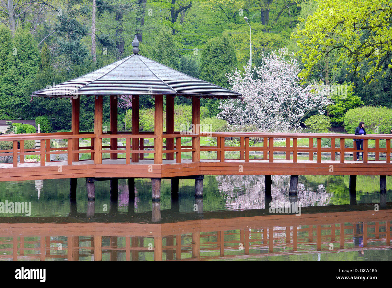 Wroclaw Japanese Garden in the spring Stock Photo - Alamy