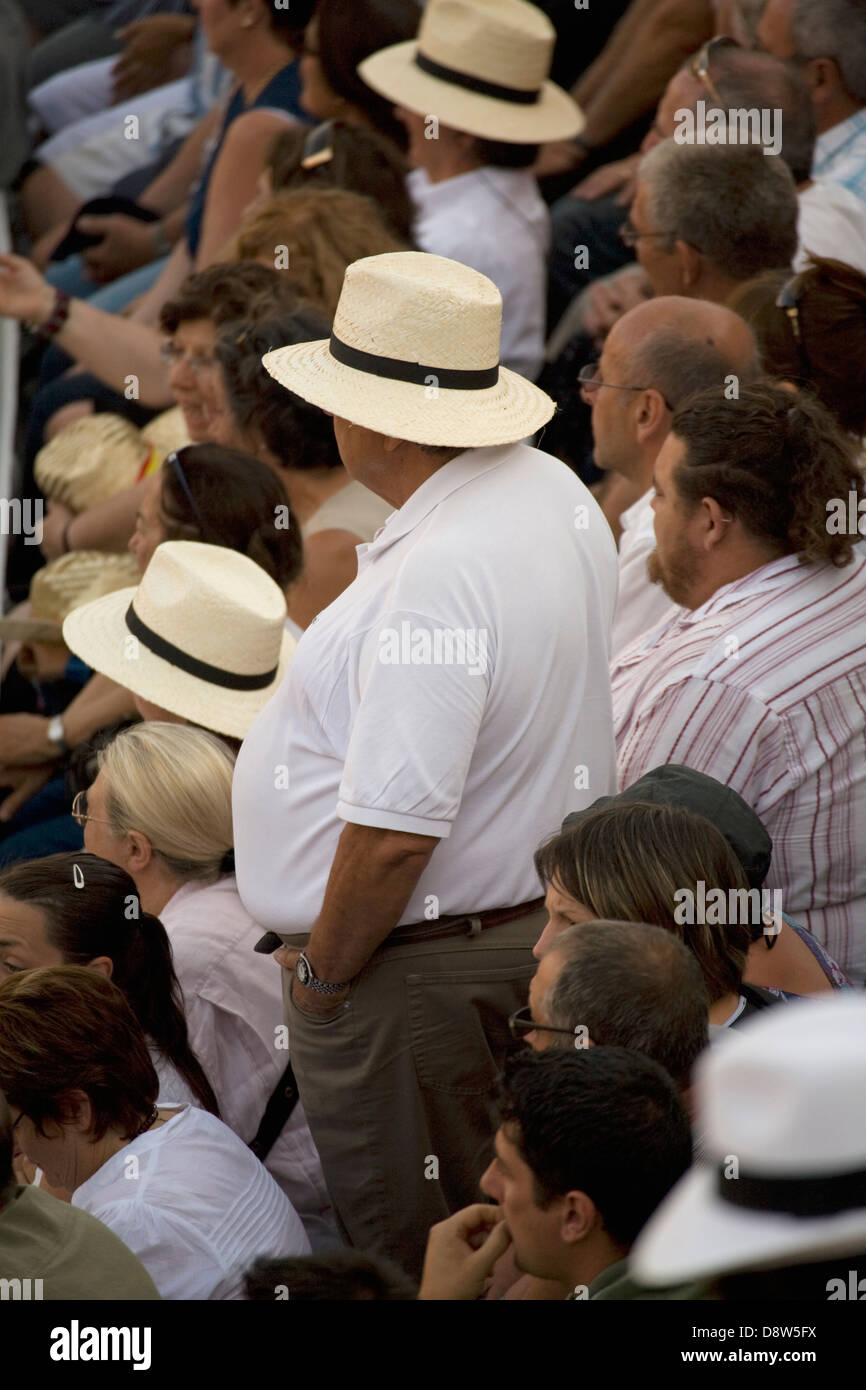 People in the crowd at a bullfight in the Roman Arena, Arles, France ...