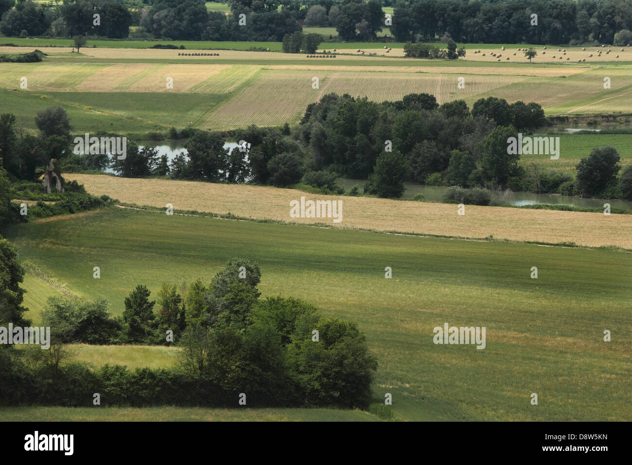 Wheat field in Tiber Valley near Rome Stock Photo - Alamy