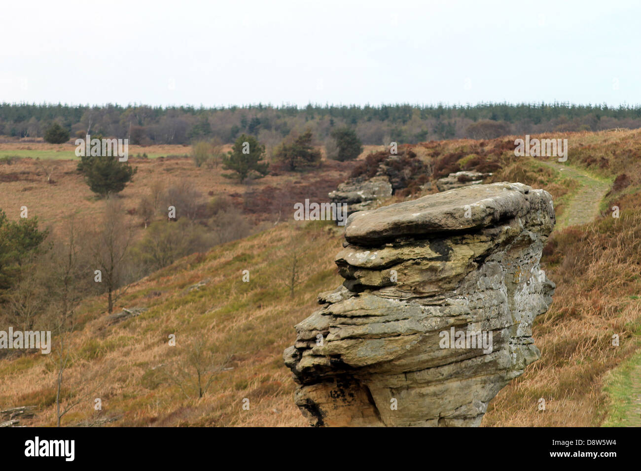 Scenic view of eroded stack rock formation in Moors, North Yorkshire ...
