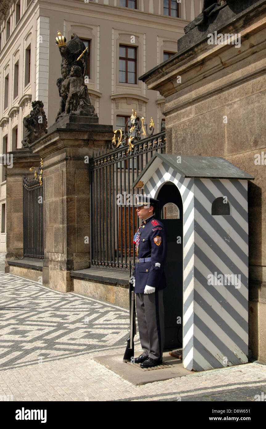A member of the Castle Guard which task is to guard and defend the seat ...