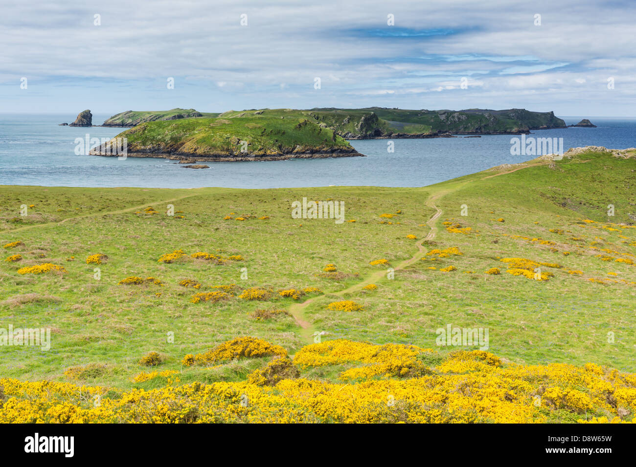 Skomer Island Pembrokeshire West Wales known for Puffins, wildlife and ...