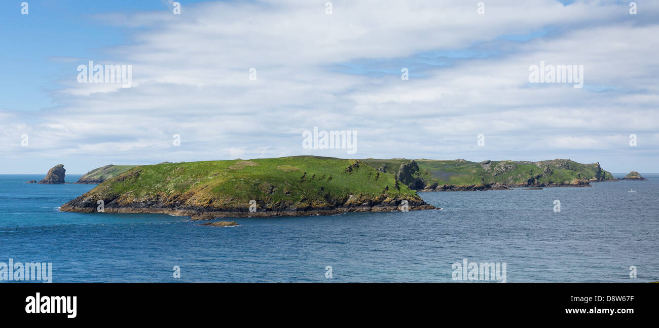 Skomer Island Pembrokeshire West Wales known for Puffins, wildlife and ...