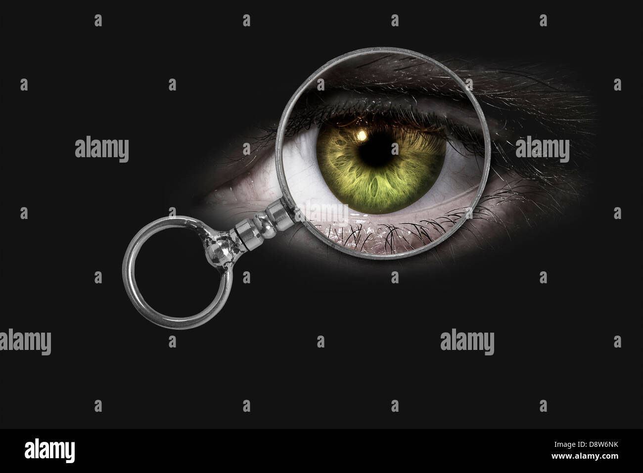 Eye magnify glass hi-res stock photography and images - Alamy
