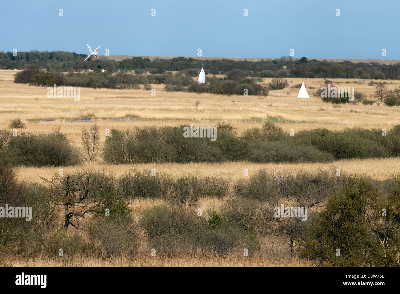 Norfolk Broads - a view over Hickling Broad from the observation tower ...