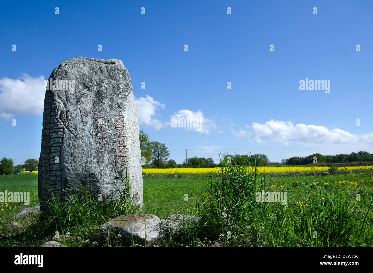 Old historic runic stone at Karlevi on the swedish island Oland. Image ...