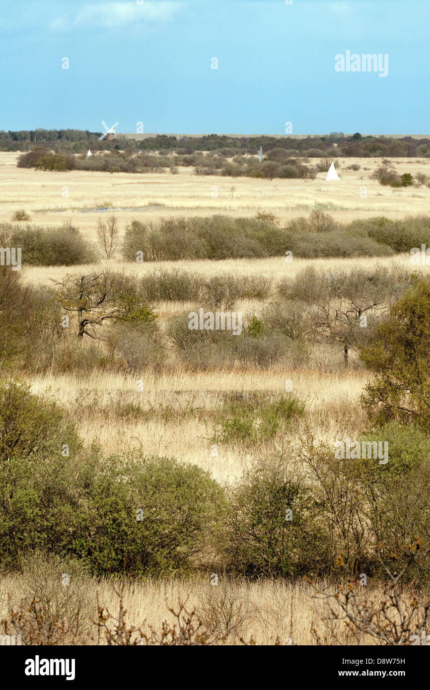 Norfolk Broads - a view over Hickling Broad from the observation tower ...