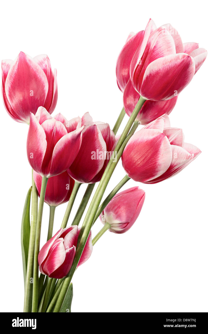Grand flower bouquet isolated on white background Stock Photo - Alamy