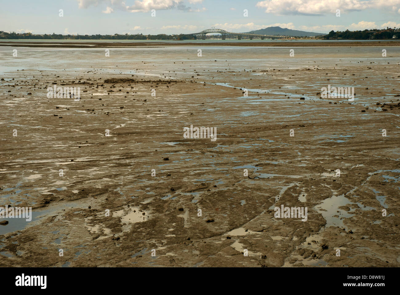 Beach at Kauri Point Centennial Park, Auckland, New Zealand Stock Photo ...
