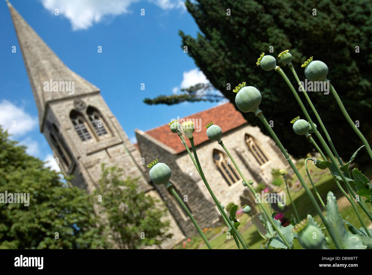 Church plants trees flower surrounding the churchyard Stock Photo - Alamy