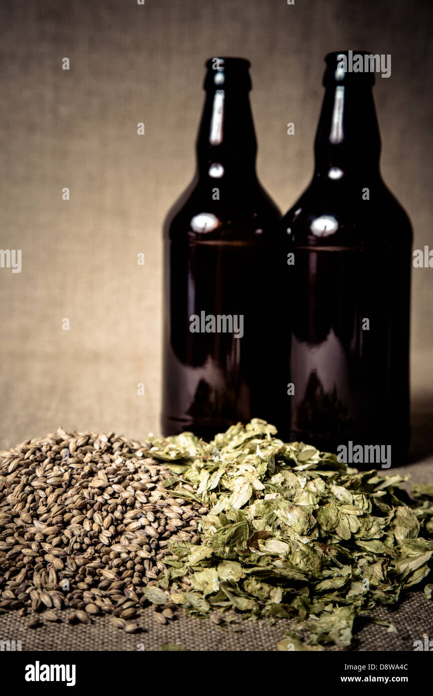 Amber malt and summer hops in front of beer bottles Stock Photo - Alamy