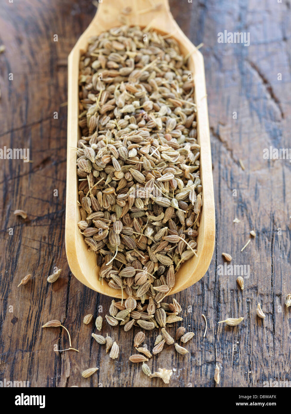 Scoopful of green aniseeds Stock Photo - Alamy