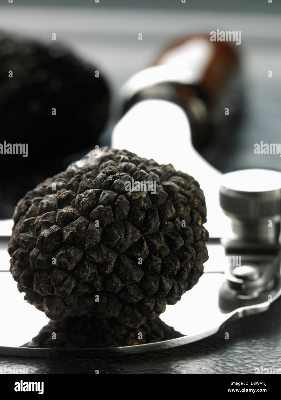Truffle grater hi-res stock photography and images - Alamy