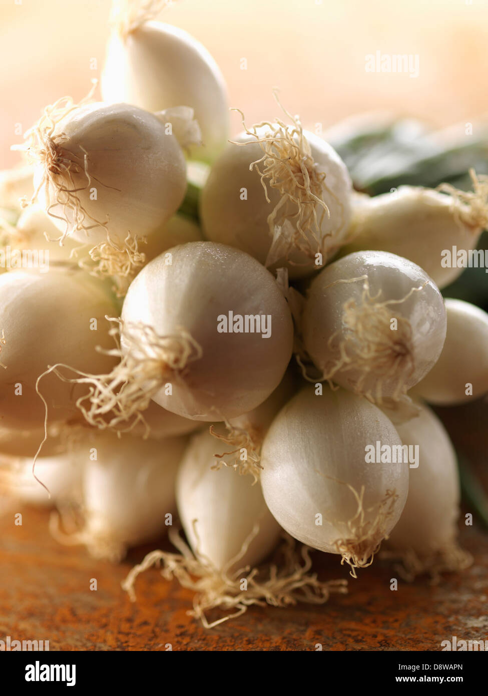 Bunch of spring onions Stock Photo - Alamy