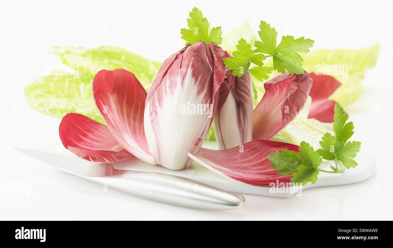 Red Chicory High Resolution Stock Photography and Images - Alamy