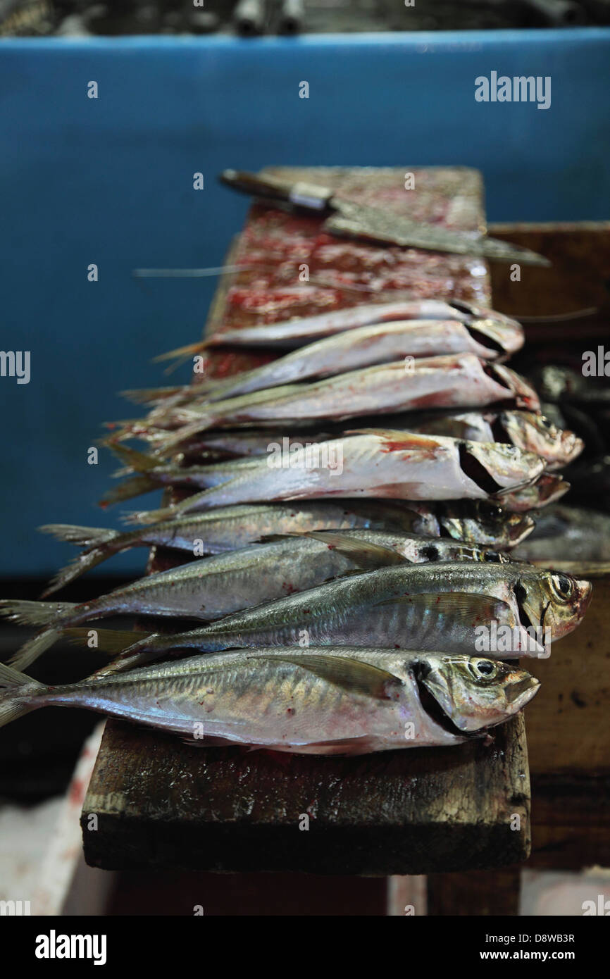 Preparing fish at the market Stock Photo - Alamy