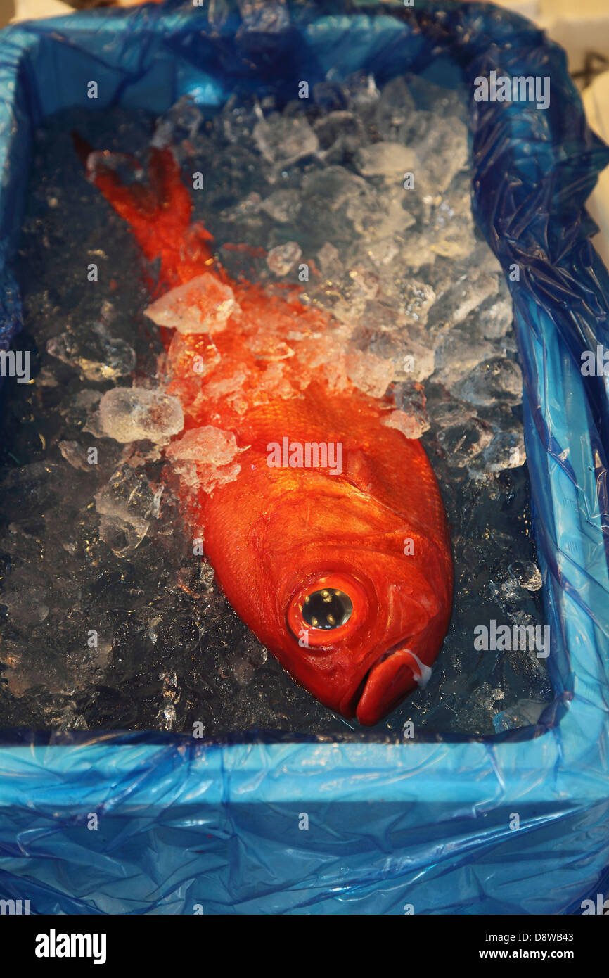 Fish in a crate of ice Stock Photo - Alamy