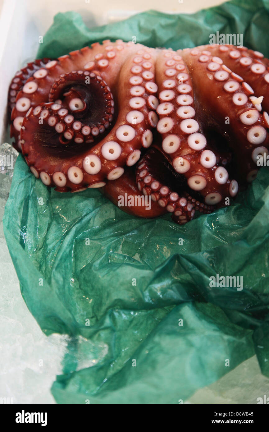 Tokyo octopus hi-res stock photography and images - Alamy