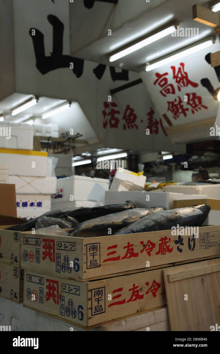 Crates of fresh fish Stock Photo - Alamy