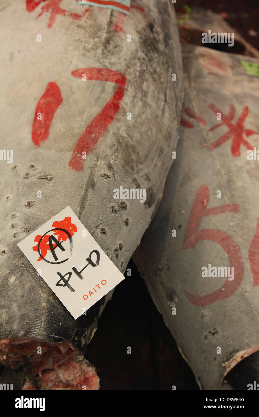 Red tuna fish Stock Photo - Alamy