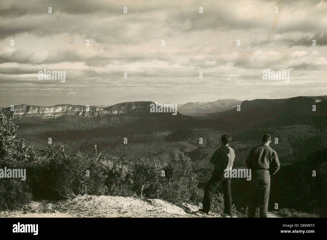 A black-and-white photograph of Jamieson Valley in the Blue Mountains ...
