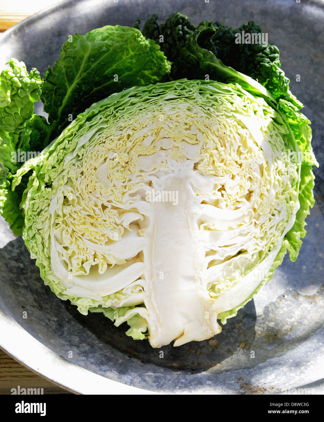 Curly cabbage hi-res stock photography and images - Alamy