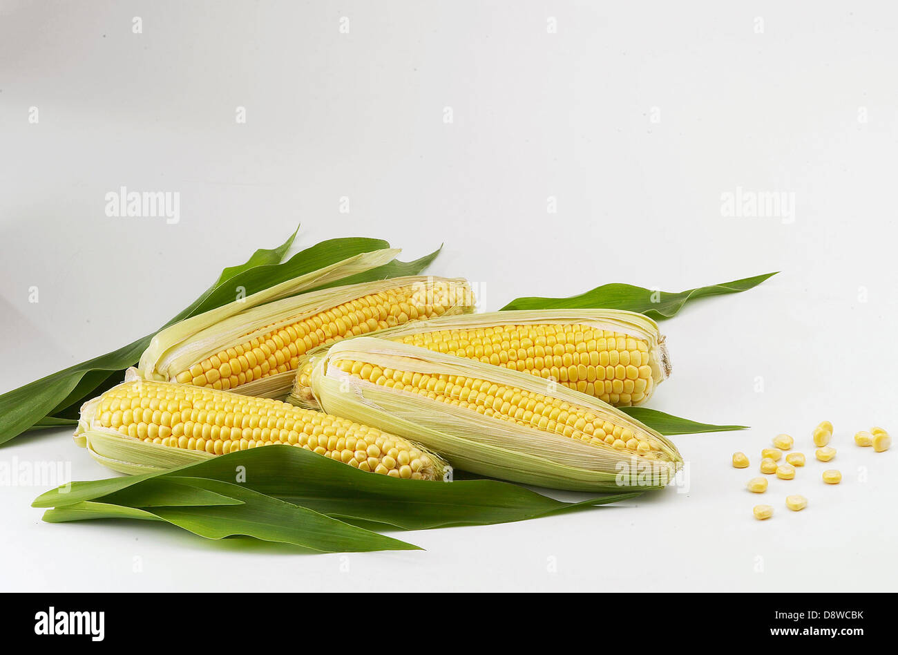 Anti corn hi-res stock photography and images - Alamy
