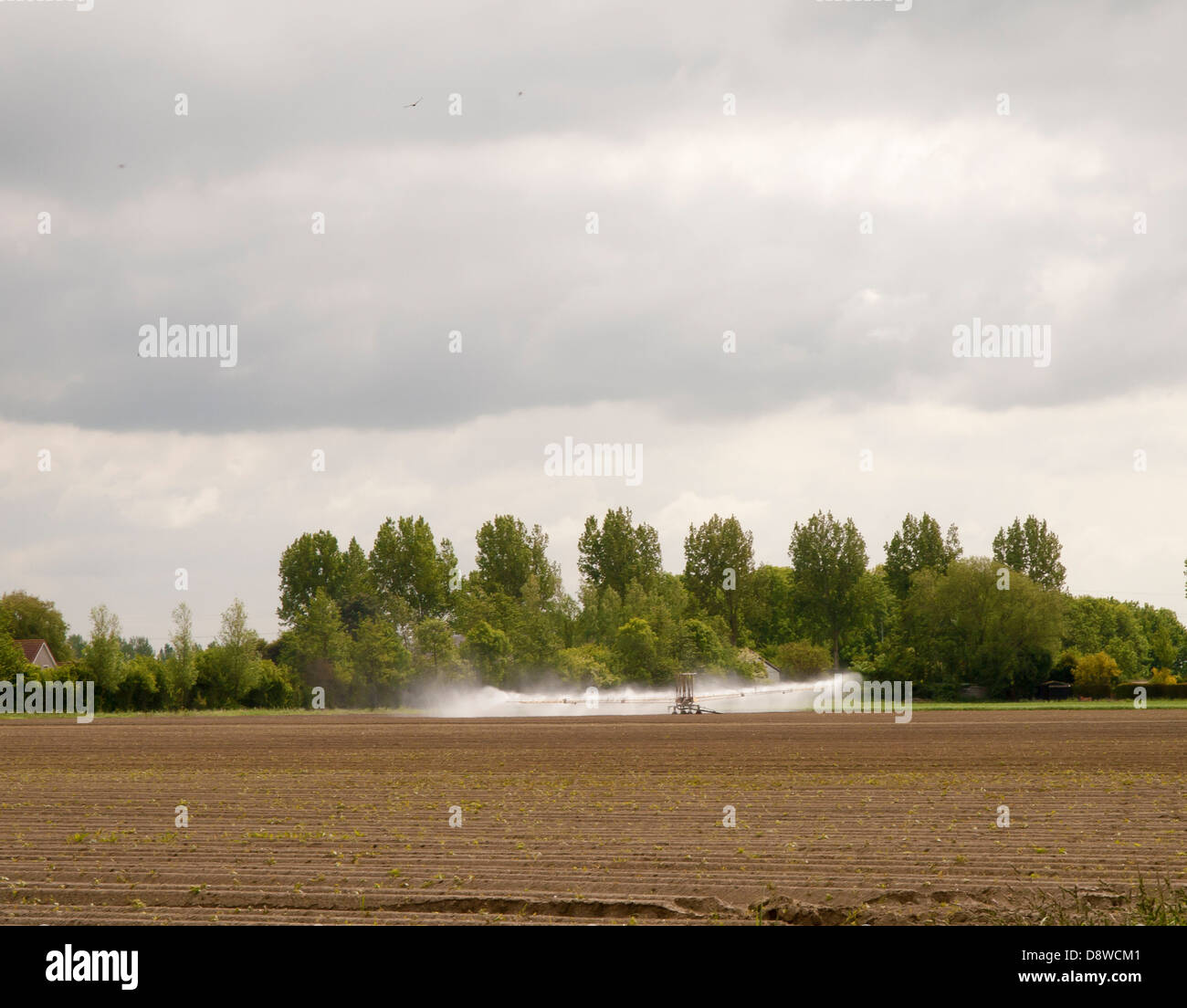 spray machine watered a potato field Stock Photo - Alamy