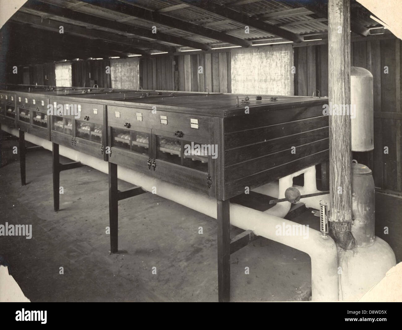 Grantham Soldiers' Settlement Estate - Grantham Stud Poultry Farm ...