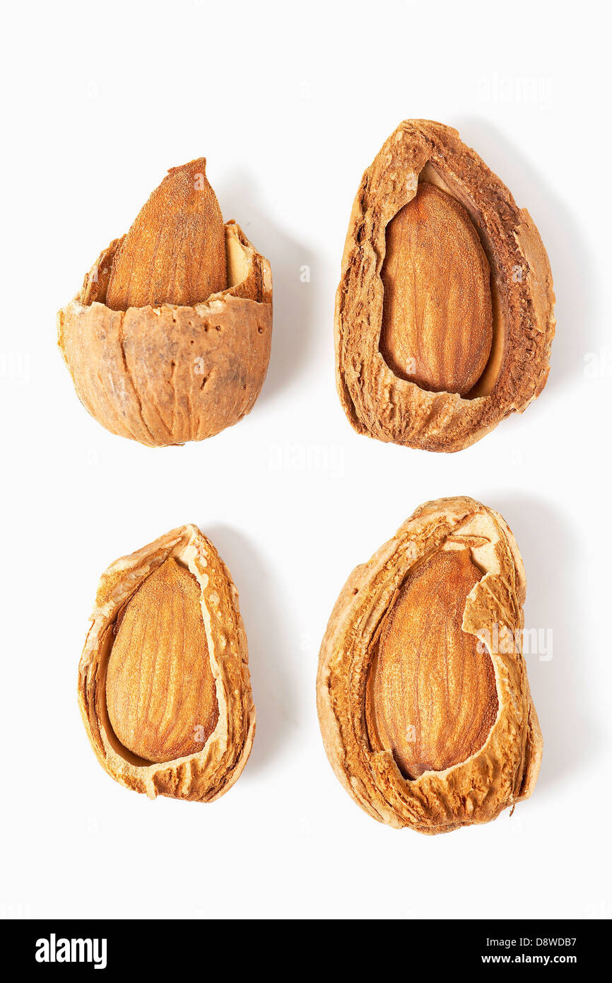 Almonds in their shells Stock Photo - Alamy
