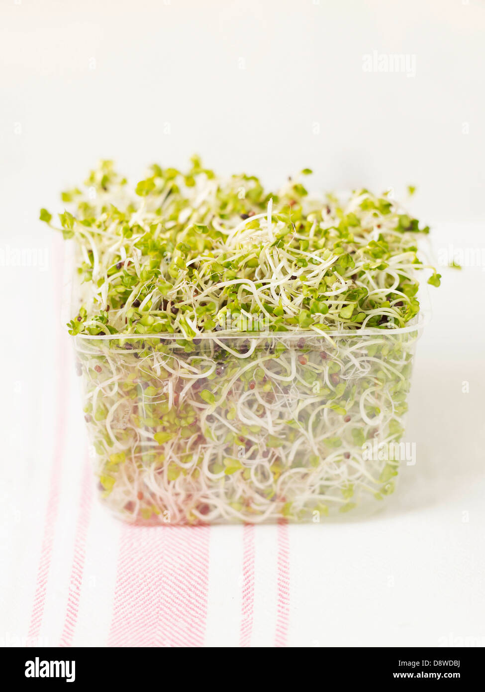 Alfafa hi-res stock photography and images - Alamy