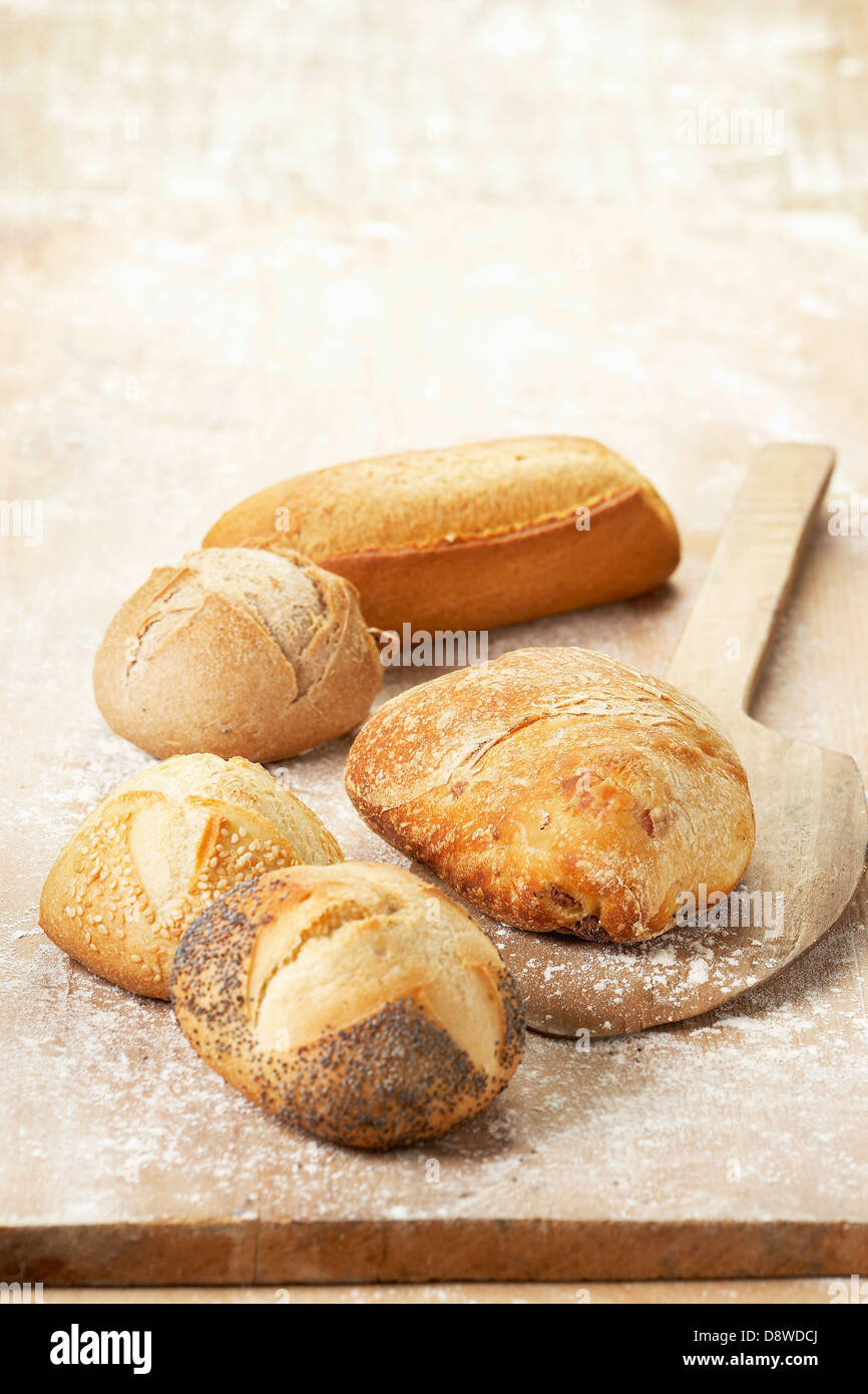 Variety of small breads Stock Photo - Alamy