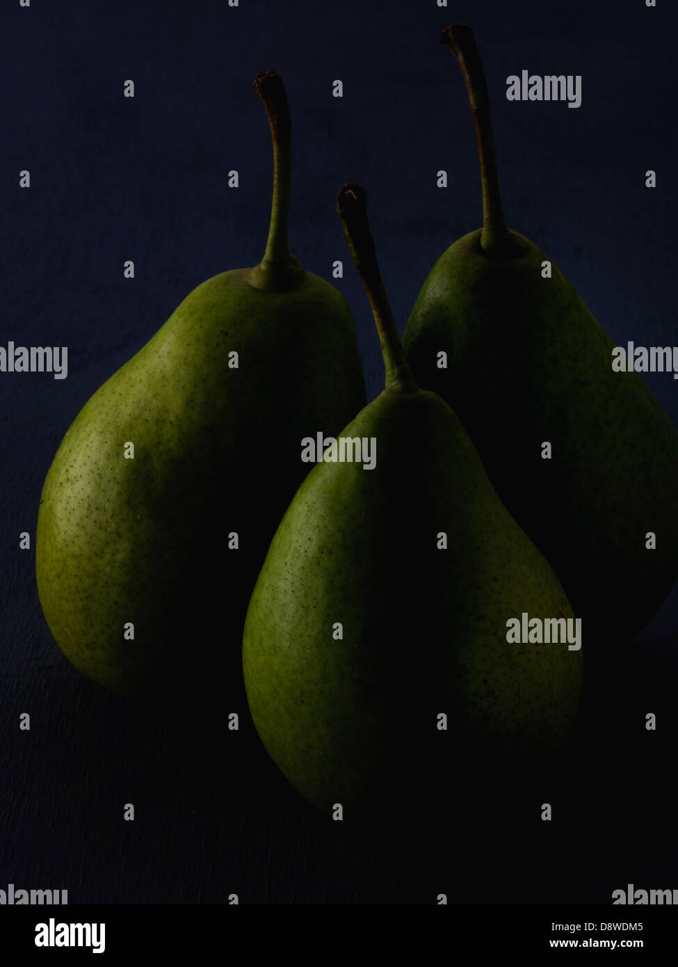 Louise bonne hi-res stock photography and images - Alamy