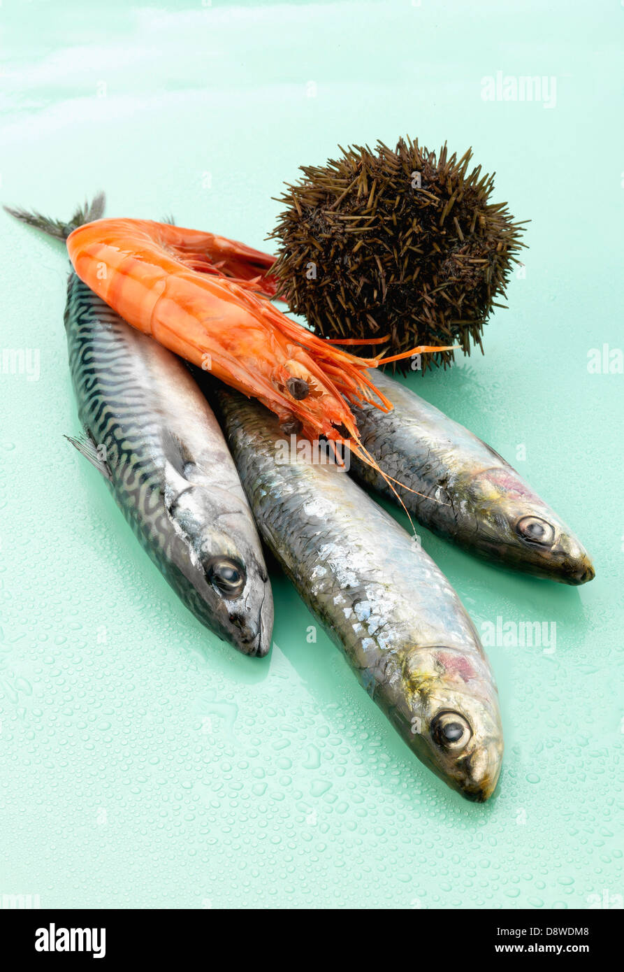 Raw fish,gamba and urchin Stock Photo - Alamy