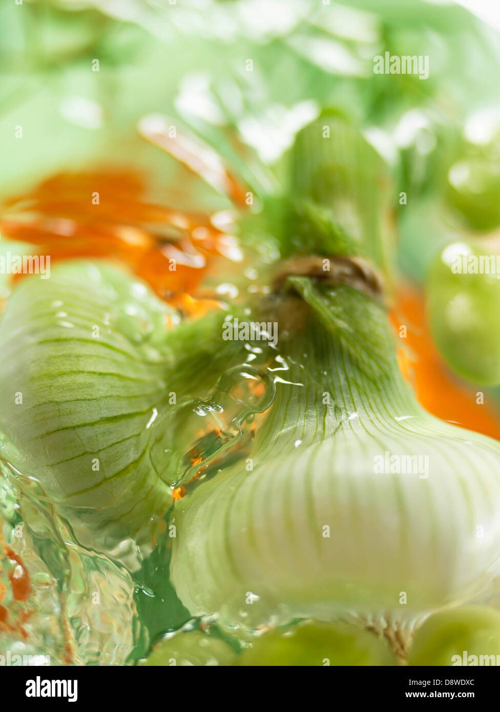 Spring onions in water Stock Photo - Alamy