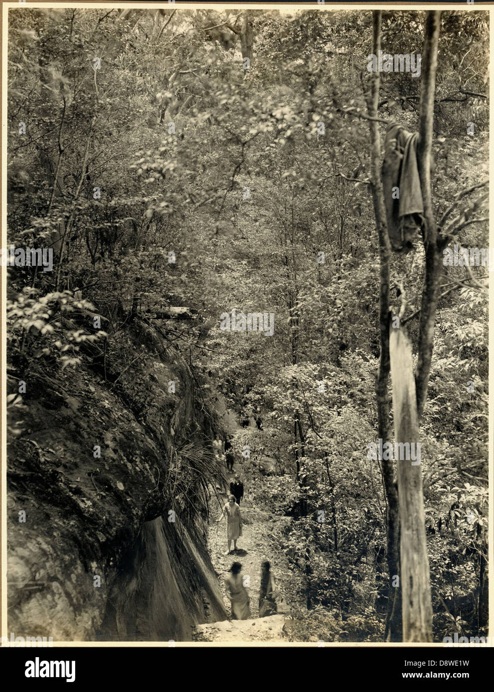Lady Carrington Drive is a scenic walking trail through the Royal ...