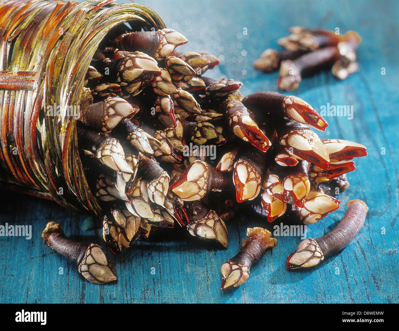 Percebes hi-res stock photography and images - Alamy