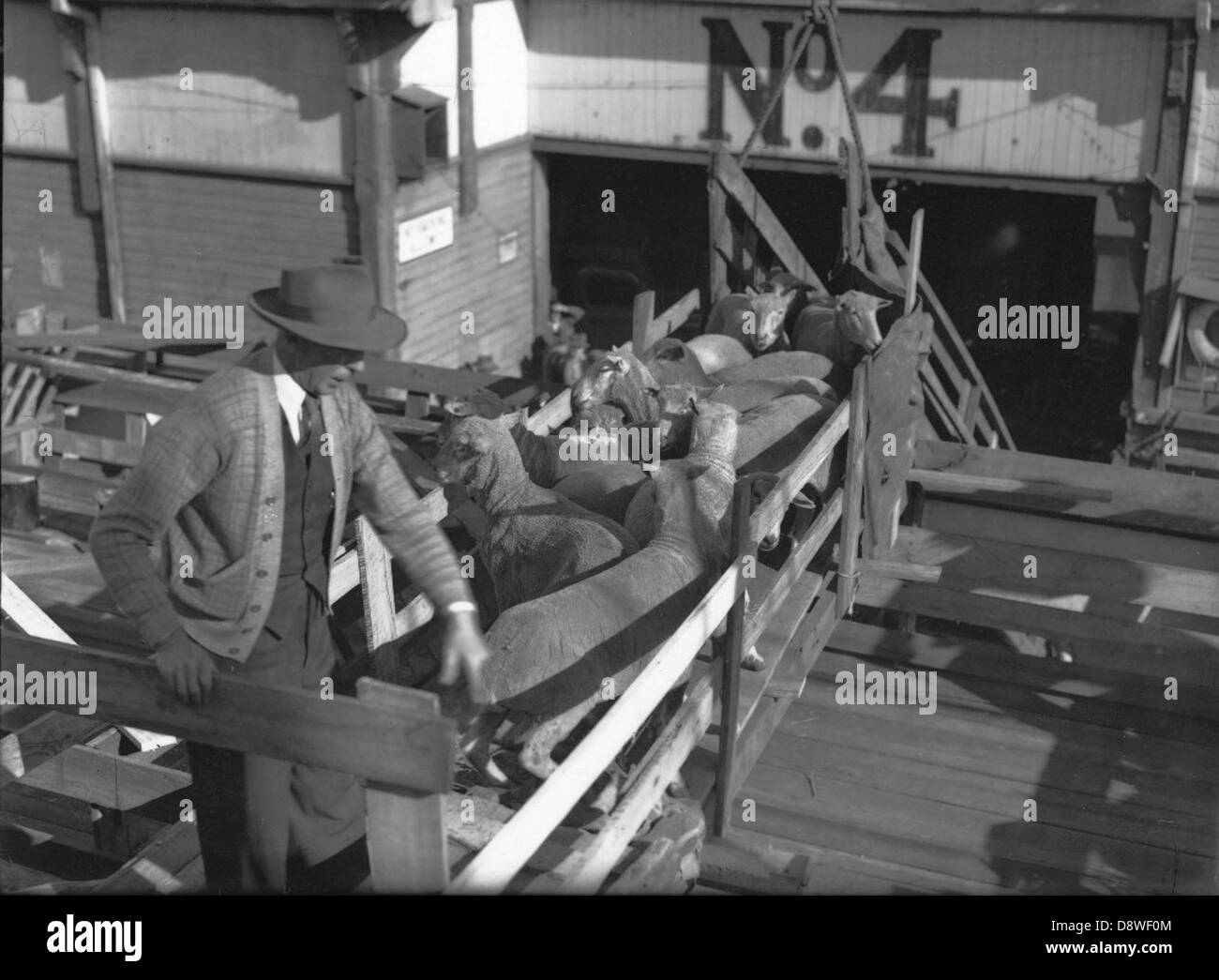 Sheep ship australia hi-res stock photography and images - Alamy