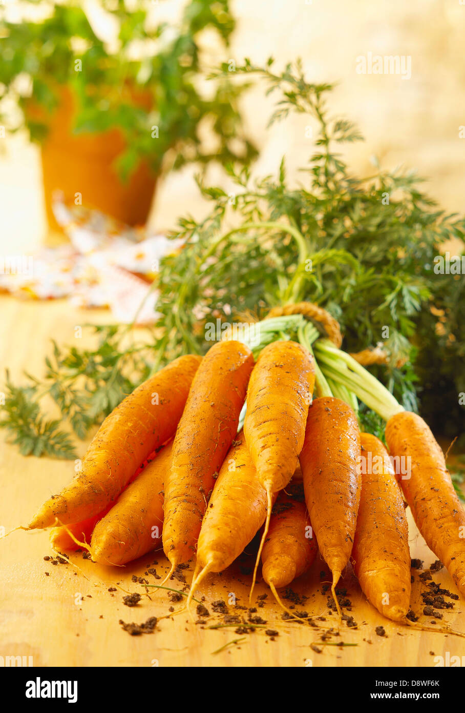 Bunch of carrots Stock Photo - Alamy