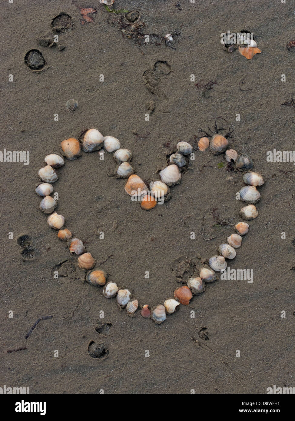 Heart made shells on beach hi-res stock photography and images - Alamy