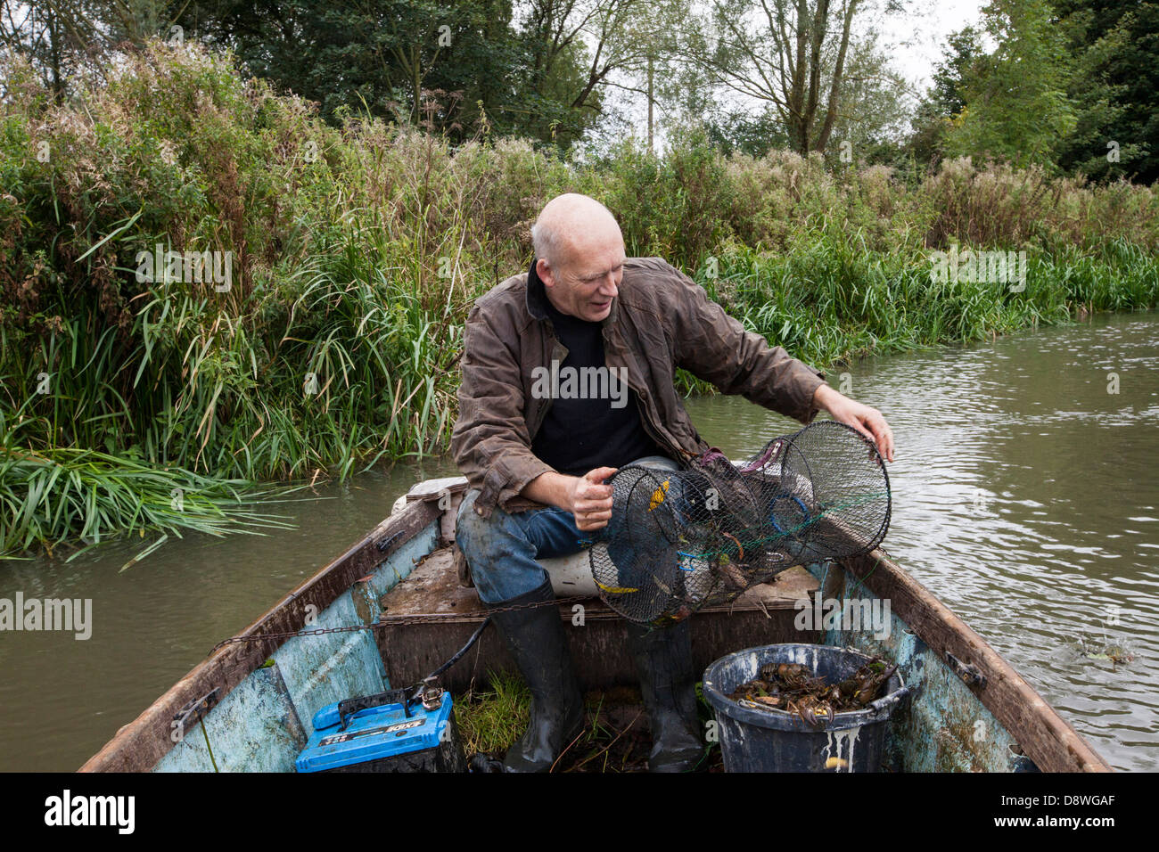 Bob Ring, 57, known as Crayfish Bob trapping American crayfish in the ...