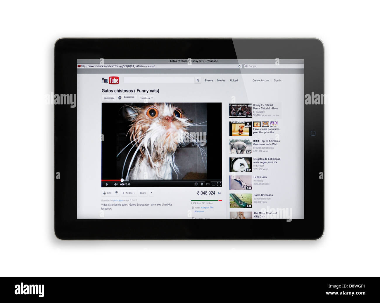 Ipad screen with animal on screen hi-res stock photography and images ...
