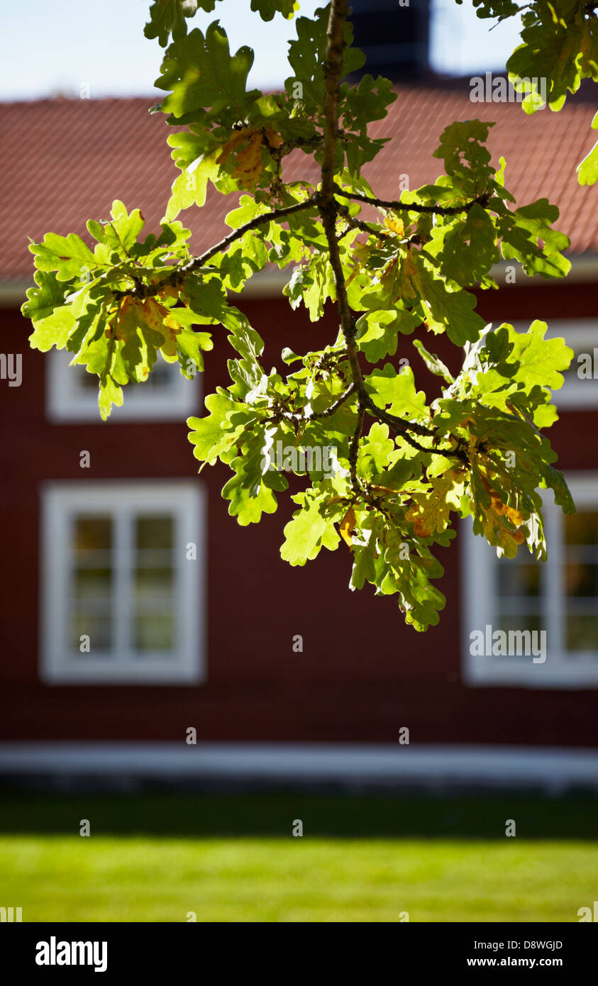 Oak cottage hi-res stock photography and images - Alamy