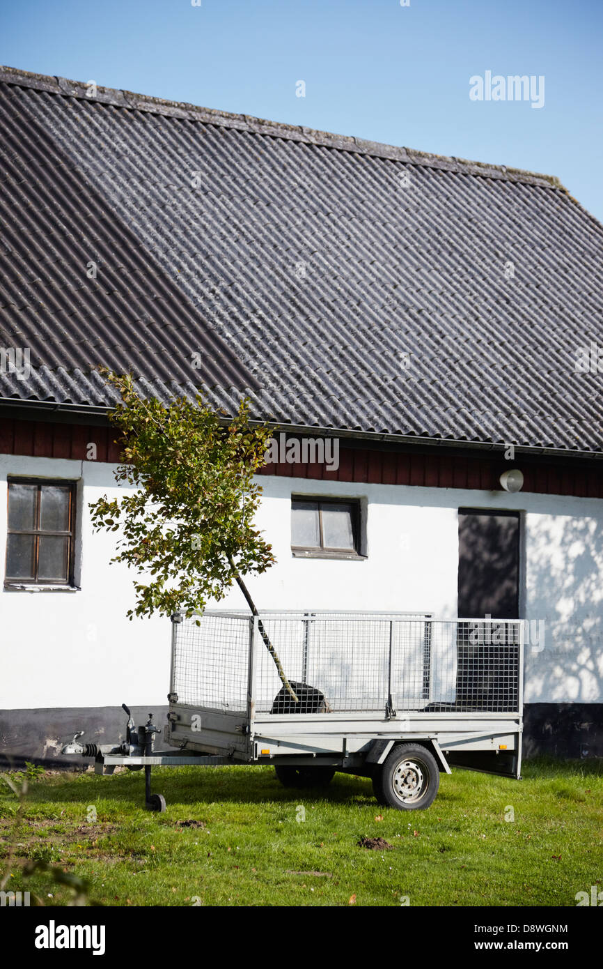 Ready to plant tree on trailer Stock Photo - Alamy