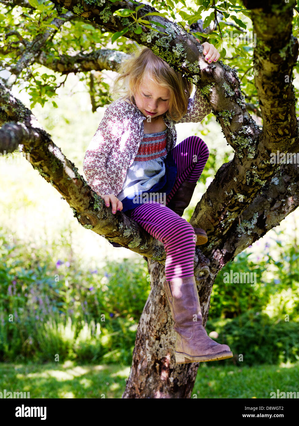 Girls sitting on branch hi-res stock photography and images - Alamy