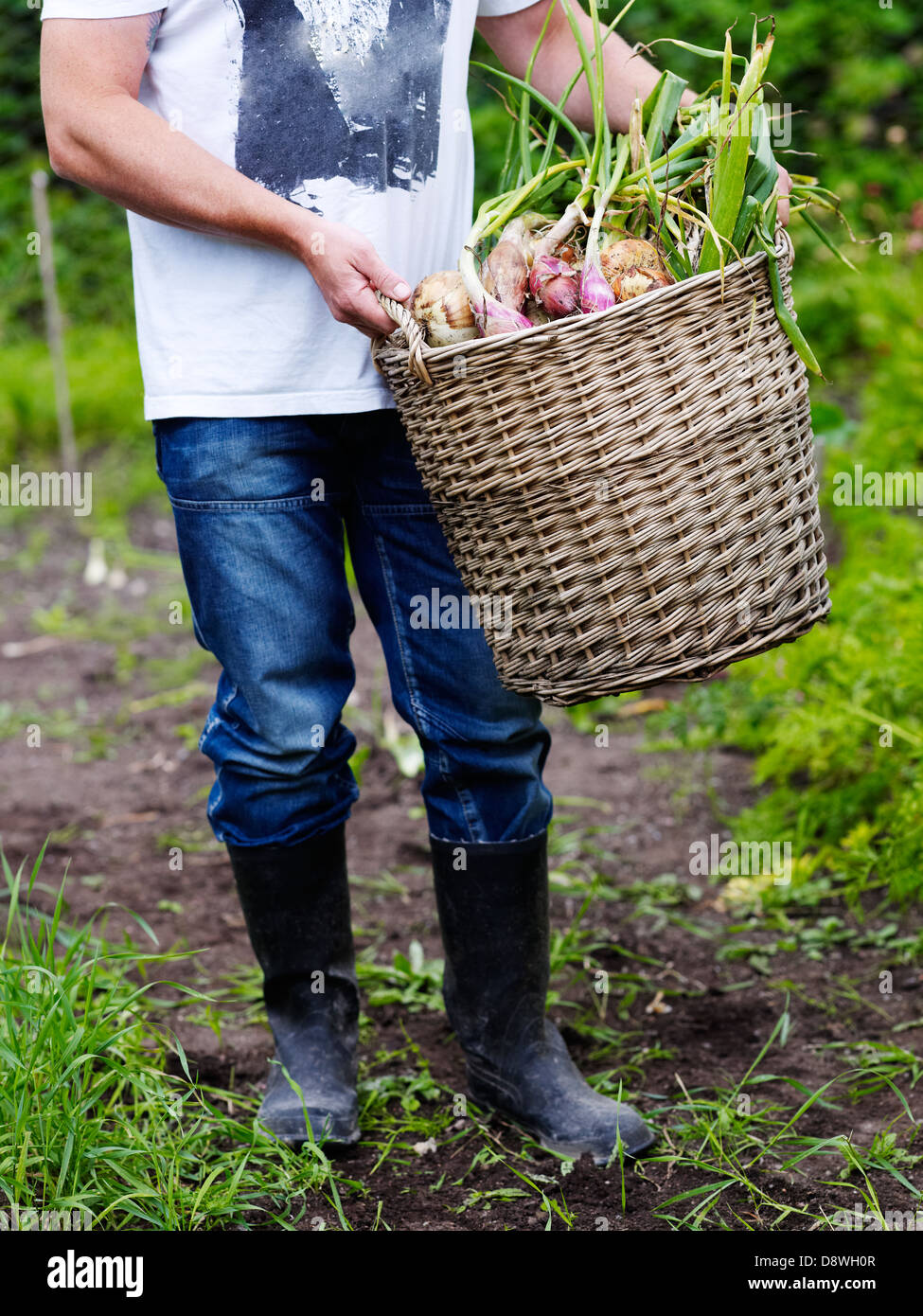 Man carrying basket full of vegetable Stock Photo - Alamy