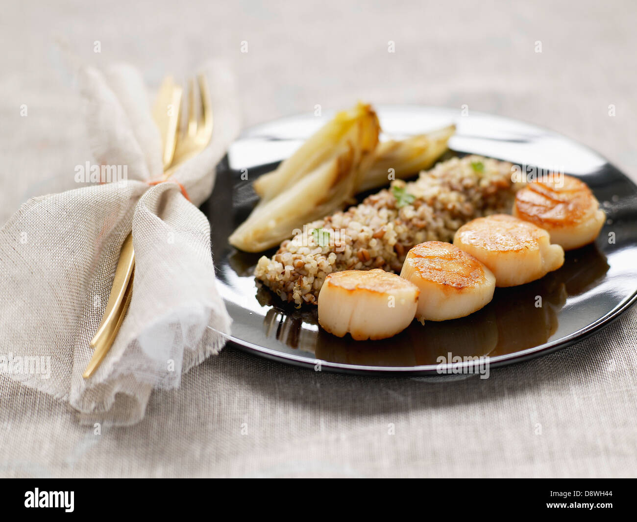 Roast scallops ,quinoa and braised chicory Stock Photo - Alamy